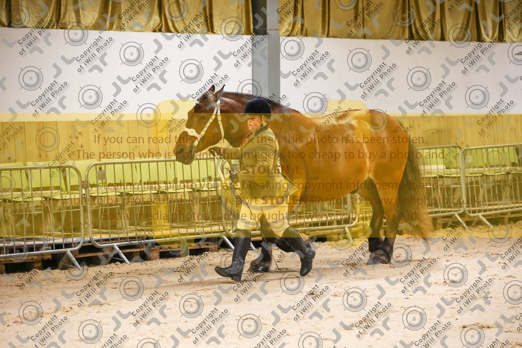 APHS Invicta Show, White Horse Farm, Sunday 23rd June - Client and ...