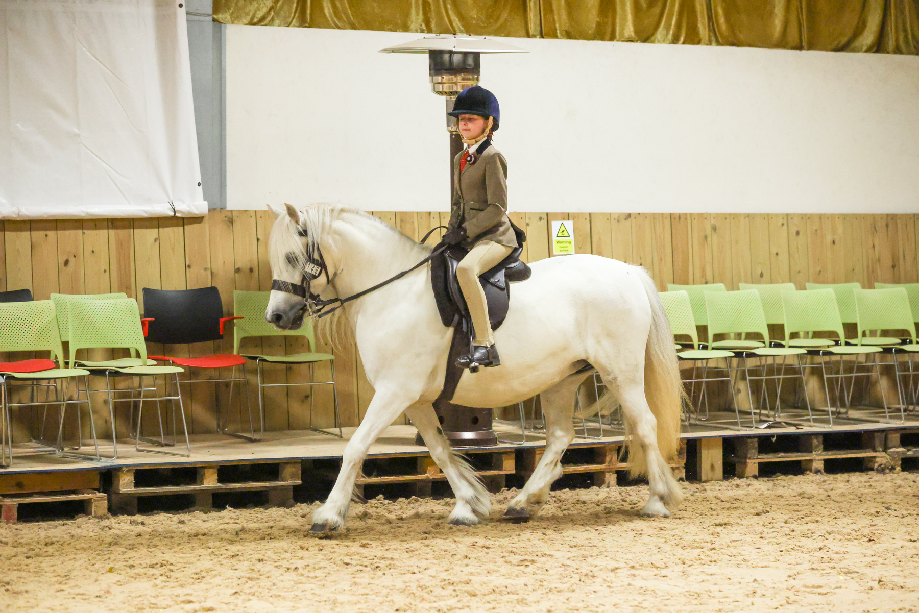 APHS Invicta Show, White Horse Farm, Sunday 22nd June - Client and ...